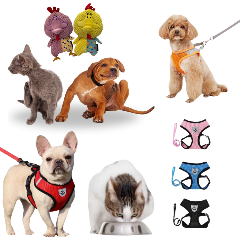 Κατηγορία: Smart Boxes | ohmypet